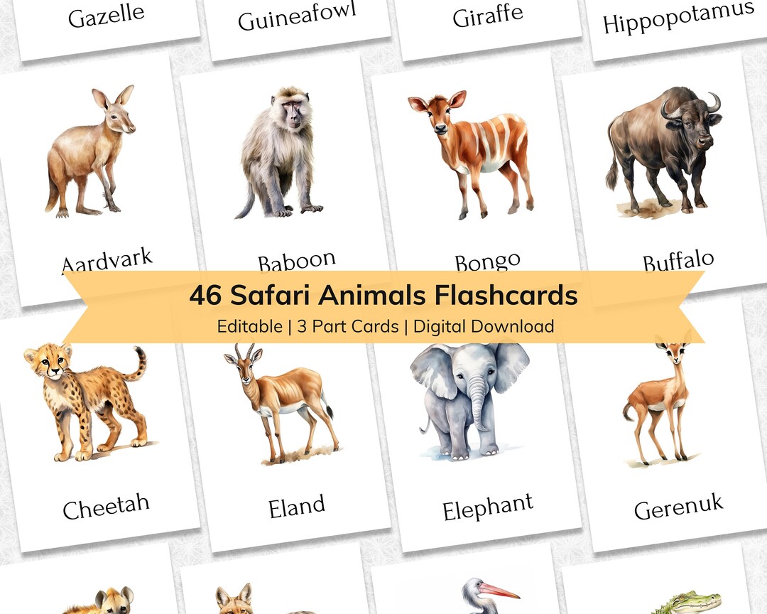 Editable Safari Animals Flashcards for Kids, Montessori Animal Name ...