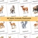 Editable Safari Animals Flashcards for Kids, Montessori Animal Name ...