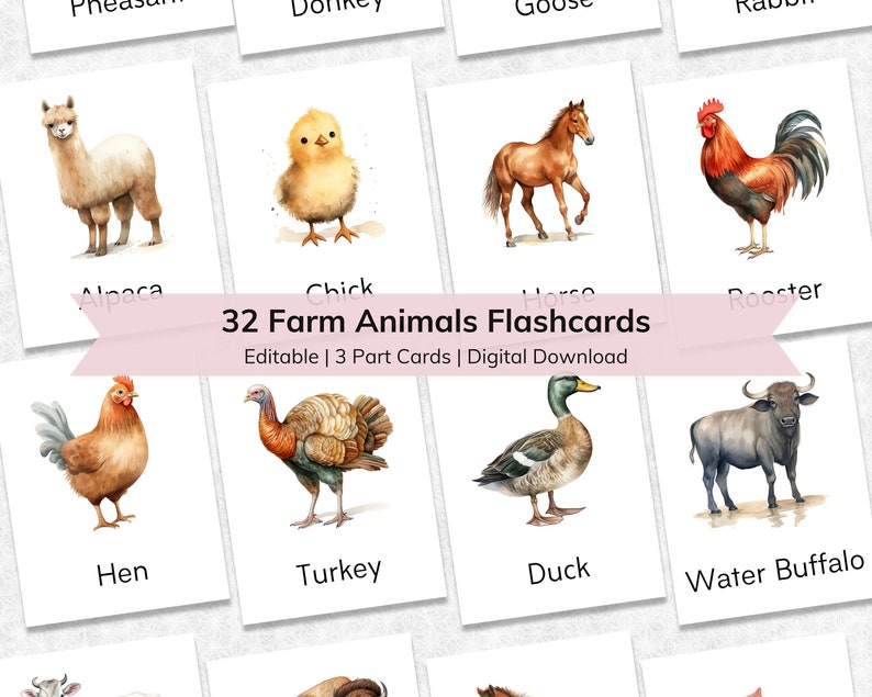 32 Watercolor Farm Animals Flashcards: Montessori Learning Cards ...