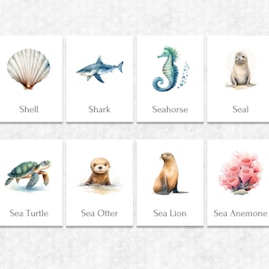 Ocean Animals Flashcards: Montessori 3-part Cards (digital Download) - Etsy