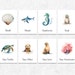 Ocean Animals Flashcards: Montessori 3-part Cards (digital Download) - Etsy