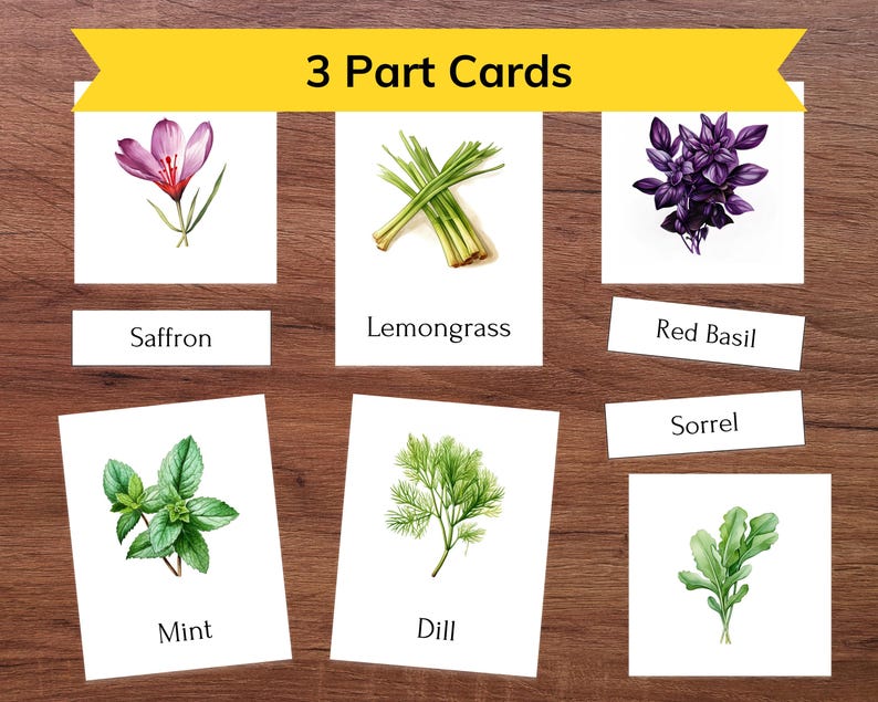 Editable Herb Montessori 3-part Flashcards for Kids, Printable ...