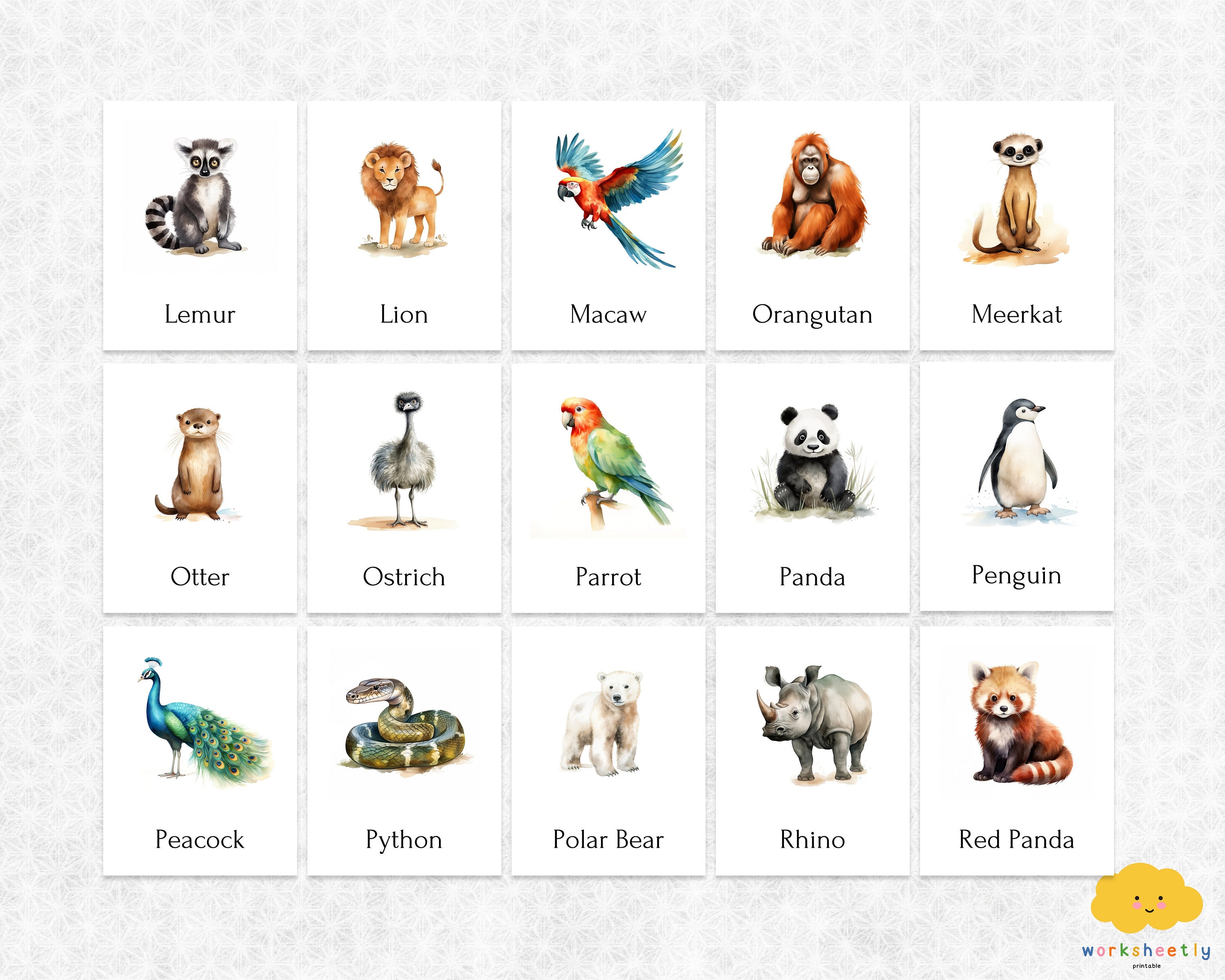 Editable Zoo Animal Flashcards: Montessori Learning (digital Download ...