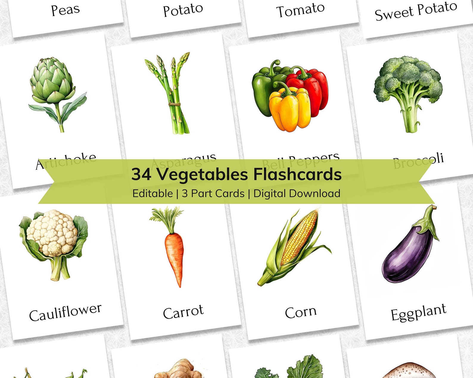 Editable Vegetables Flashcards for Kids | Educational 3 Part ...