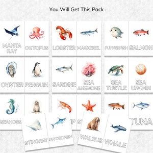 Ocean Animal Name Tracing Flashcards for Kids, Printable Montessori ...