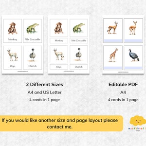 Editable Safari Animals Flashcards for Kids, Montessori Animal Name ...