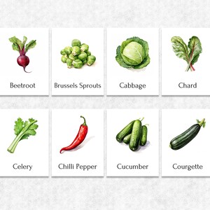 Editable Vegetables Flashcards for Kids | Educational 3 Part ...