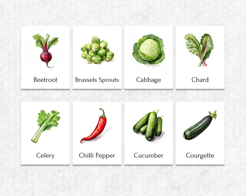 Editable Vegetables Flashcards for Kids Educational 3 Part Nomenclature ...