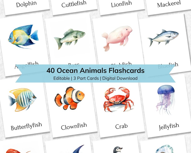 Ocean Animals Flashcards: Montessori 3-part Cards (digital Download) - Etsy