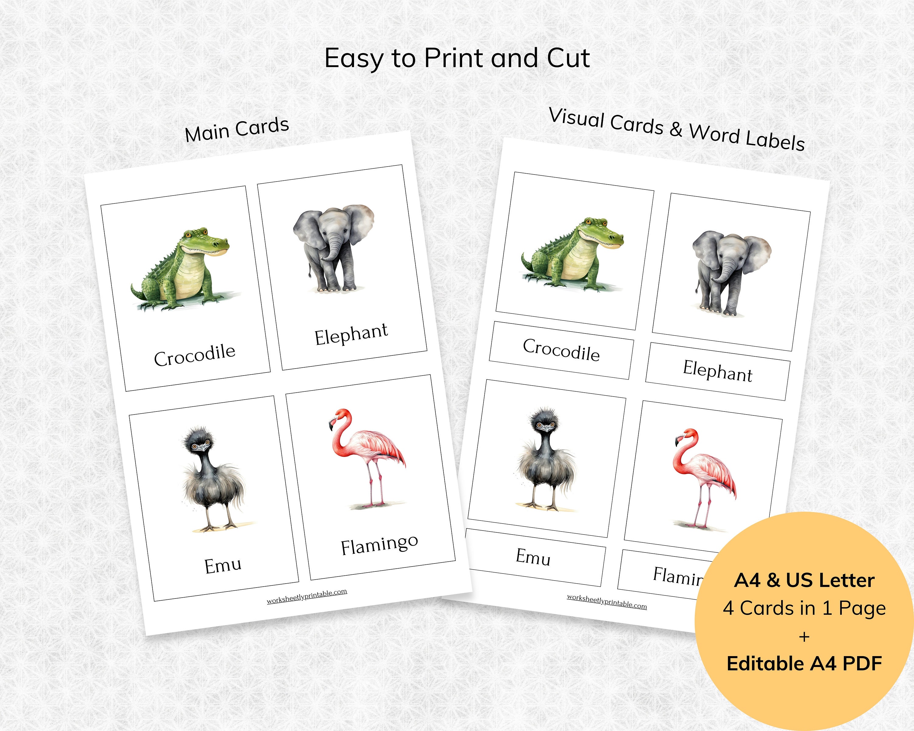 Editable Zoo Animal Flashcards: Montessori Learning (digital Download ...