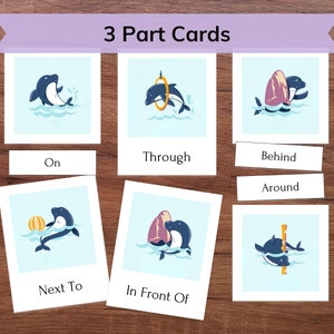 Learn Prepositions With Fun Dolphin Themed Flashcards for Kids ...