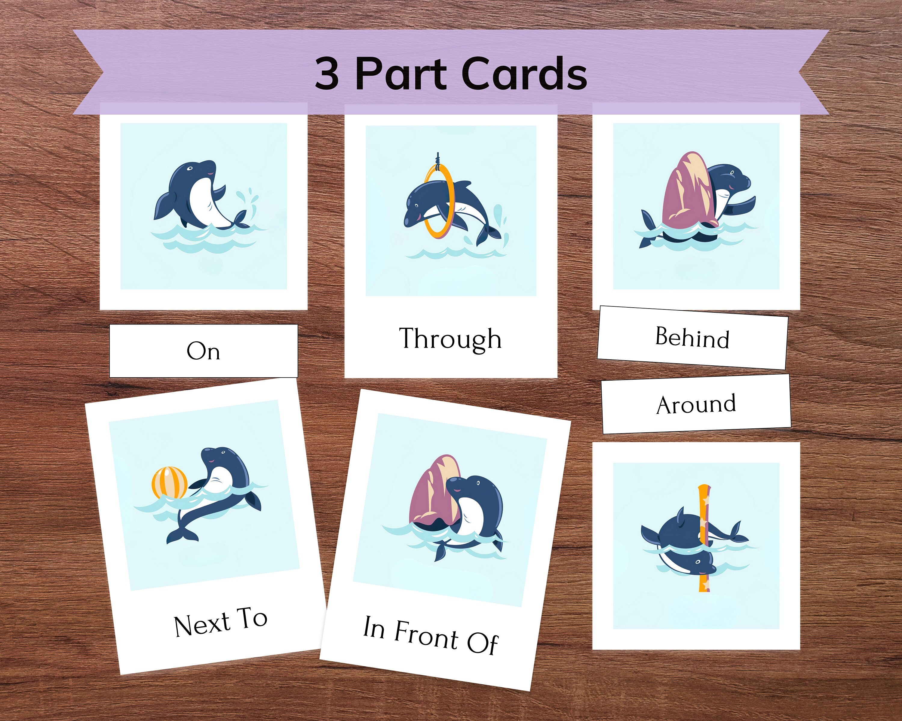 Learn Prepositions With Fun Dolphin Themed Flashcards for Kids ...