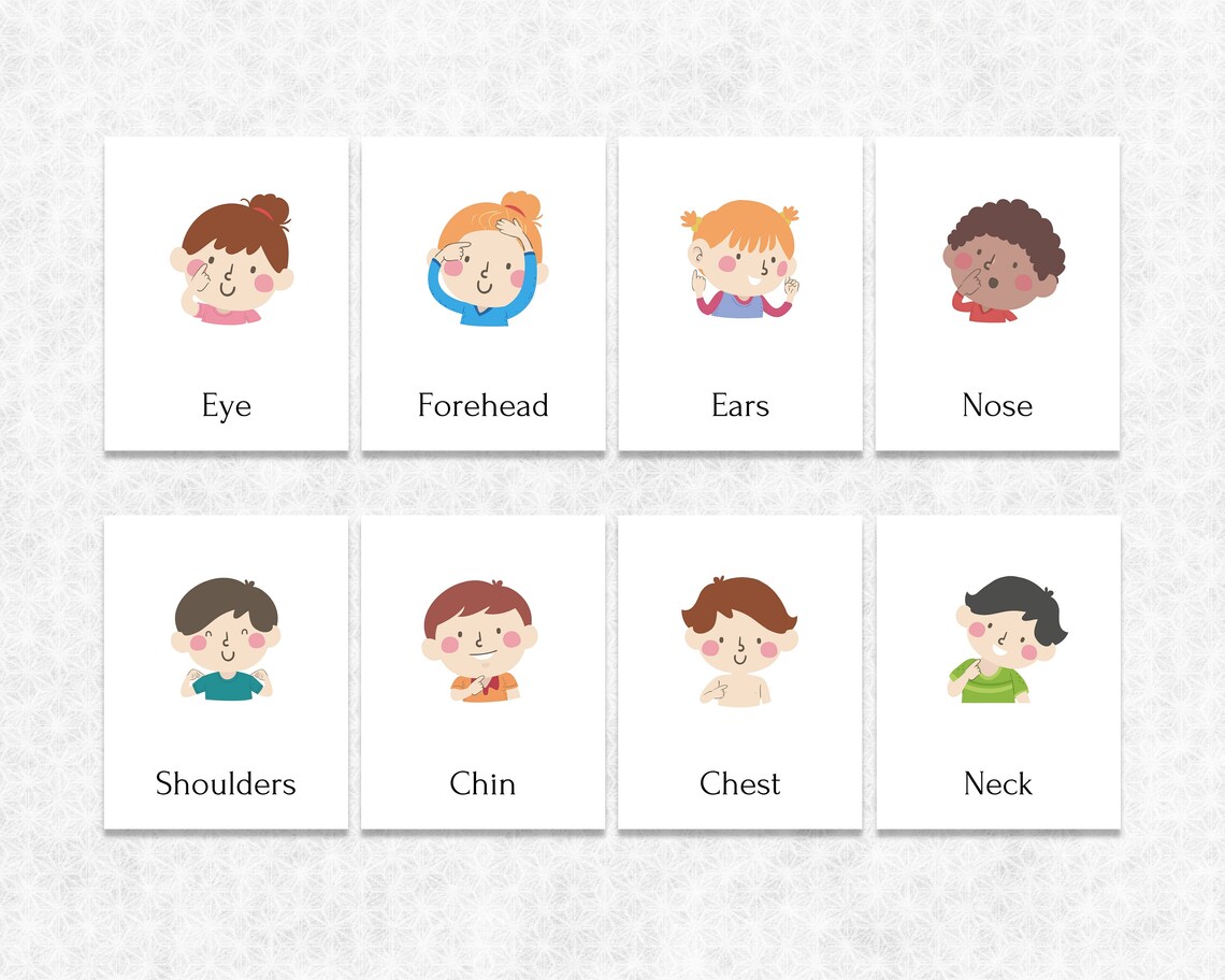 16 Body Parts Flashcards for Kids Learning Body Parts 3 Part ...
