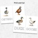 Farm Animal Name Tracing Flashcards: Montessori Letter Activity ...