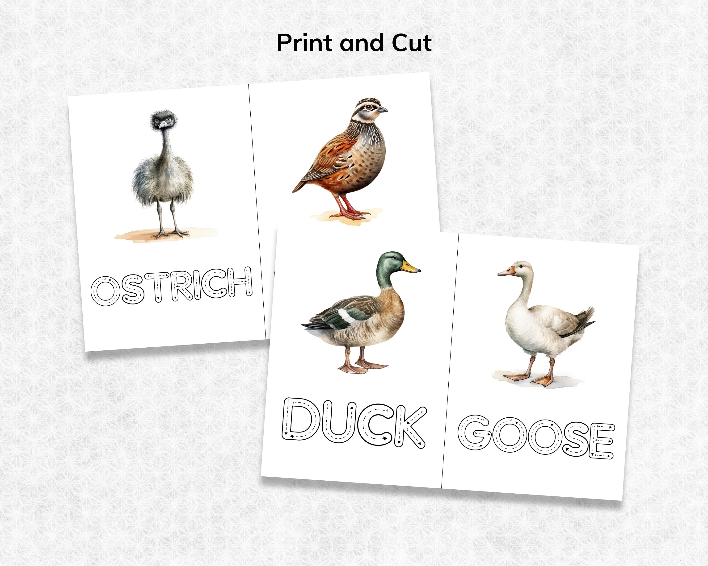 Farm Animal Name Tracing Flashcards for Kids, Printable Montessori ...