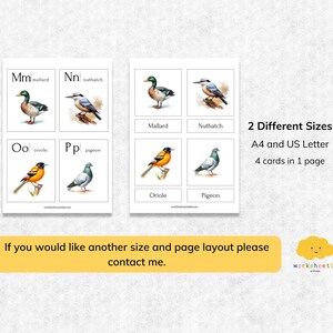 Spring Animals Alphabet Flashcards for Kids | Spring Animals Name, ABC ...