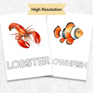 Ocean Animal Name Tracing Flashcards for Kids, Printable Montessori ...