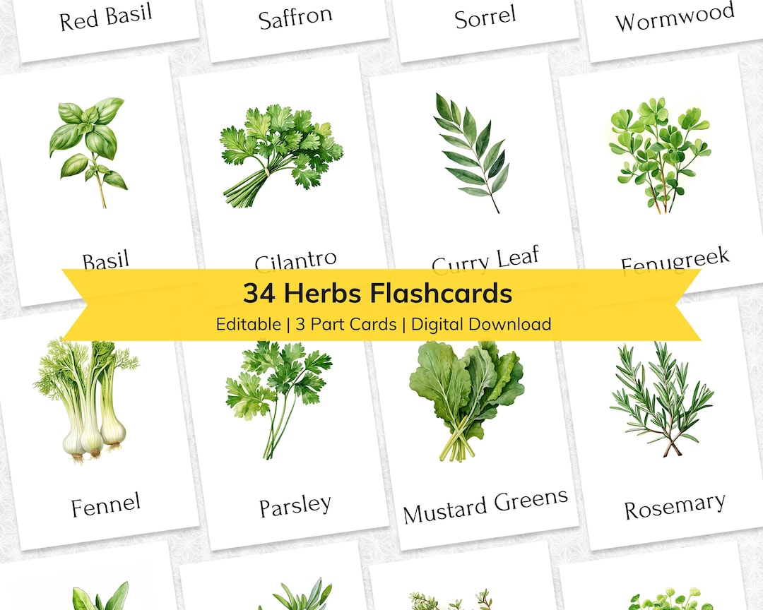 Editable Herb Montessori 3-part Flashcards for Kids, Printable ...