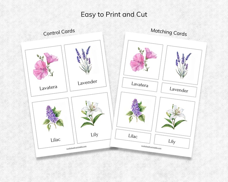 Editable Flowers Flashcards for Kids, Montessori Flower Name Learning ...