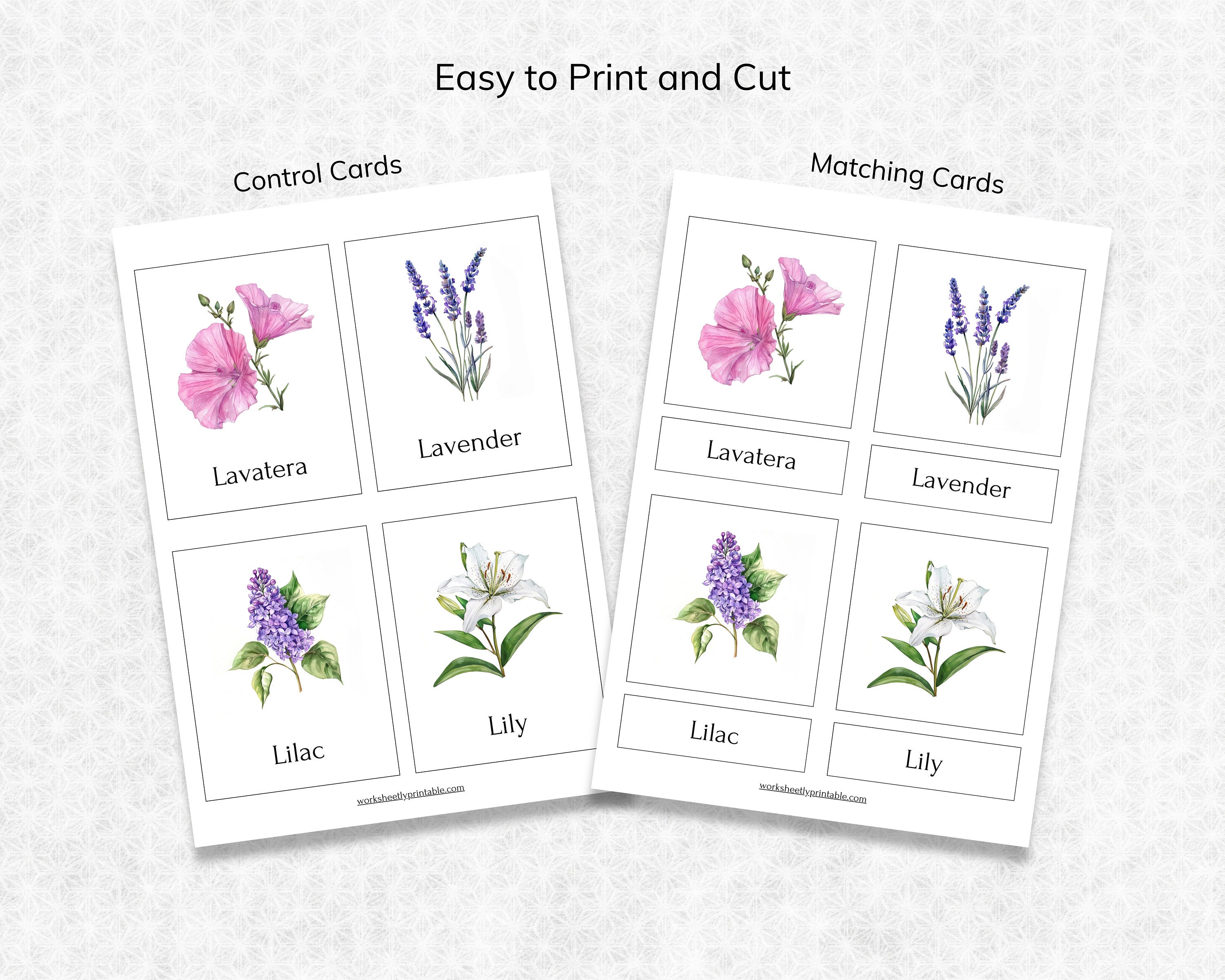 Flowers Flashcards: Montessori Plant Identification Learning (digital ...