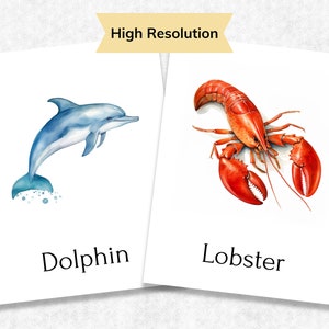 Ocean Animals Flashcards: Montessori 3-part Cards (digital Download) - Etsy