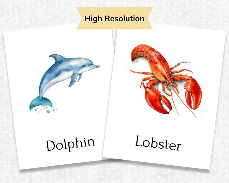 Editable Ocean Animals Flashcards for Kids, Under the Sea 3 Part ...