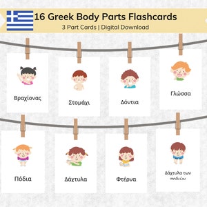 16 Greek Body Parts Flashcards for Kids | Educational 3 Part ...