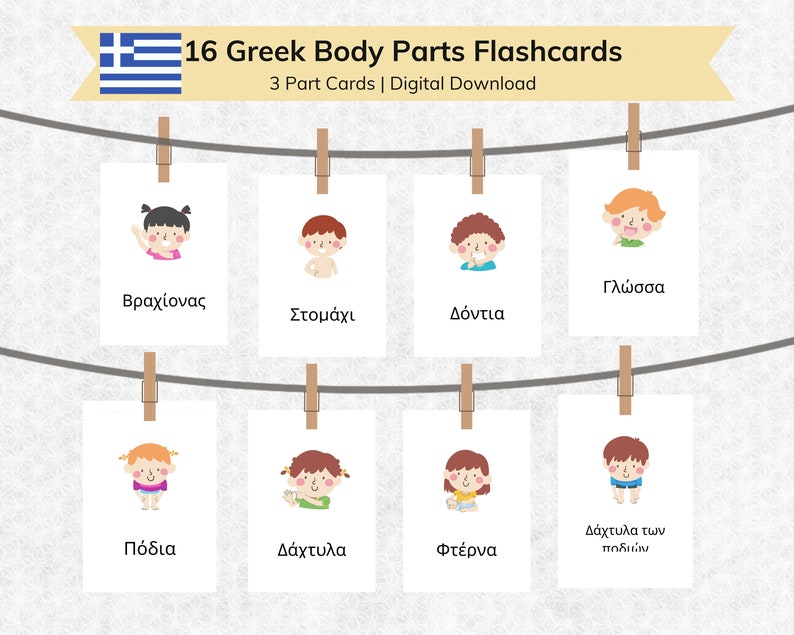 Greek Body Parts Flashcards: Montessori Learning (digital Download) - Etsy