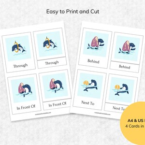 Learn Prepositions With Fun Dolphin Themed Flashcards for Kids ...