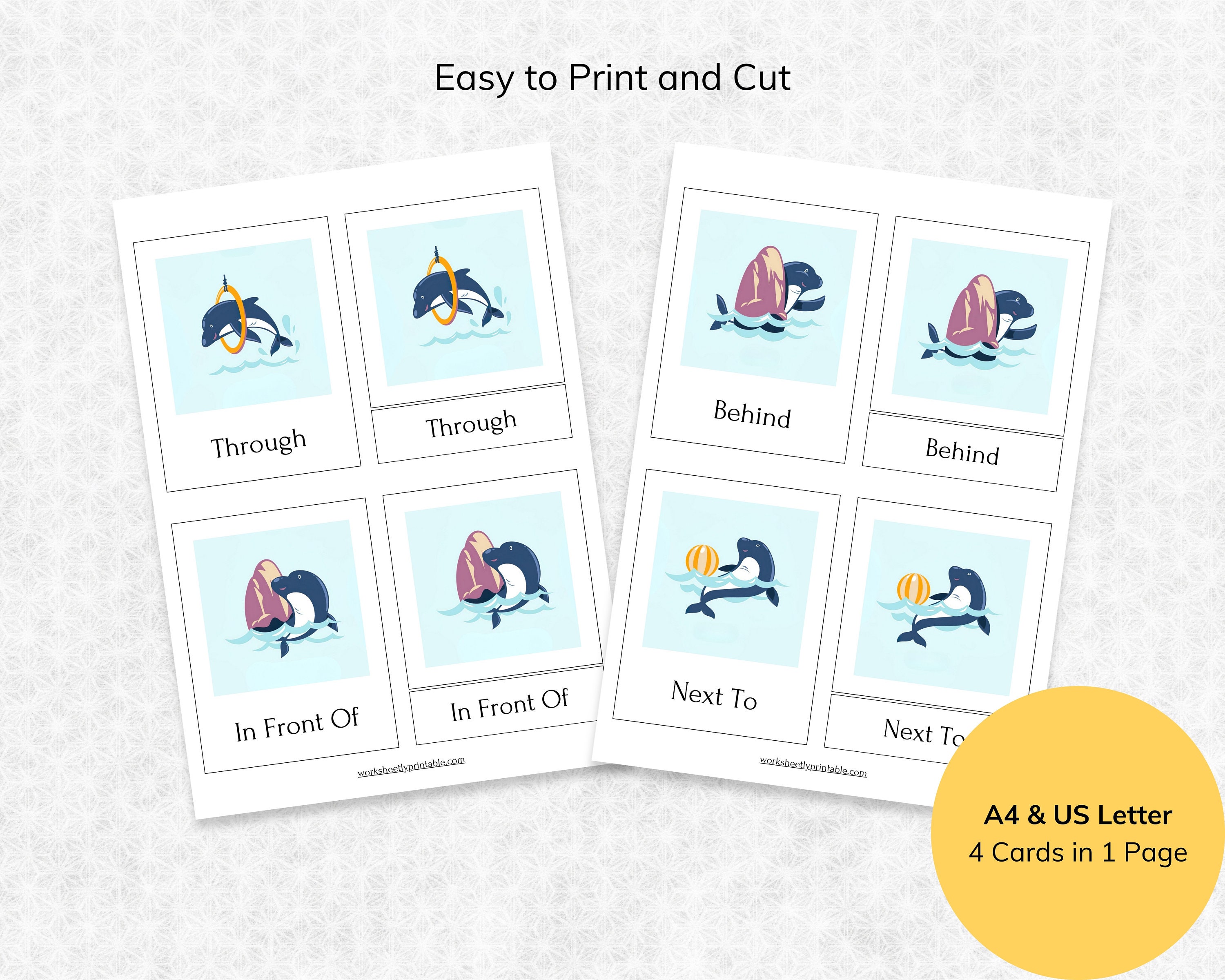 Learn Prepositions With Fun Dolphin Themed Flashcards for Kids ...