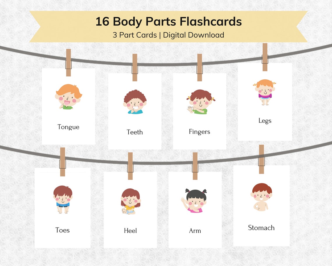 16 Body Parts Flashcards for Kids Learning Body Parts 3 Part ...