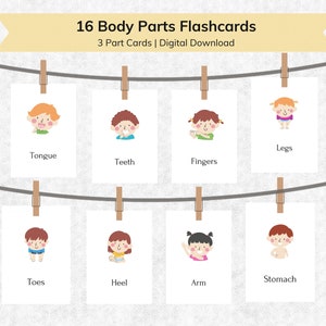 16 Body Parts Flashcards for Kids | Learning Body Parts 3 Part ...
