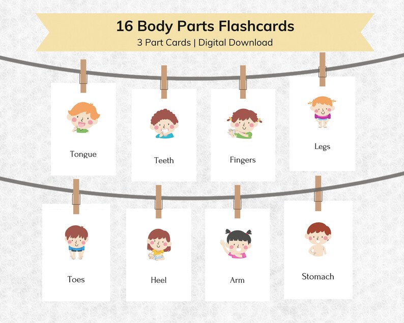 16 Body Parts Flashcards for Kids Learning Body Parts 3 Part ...
