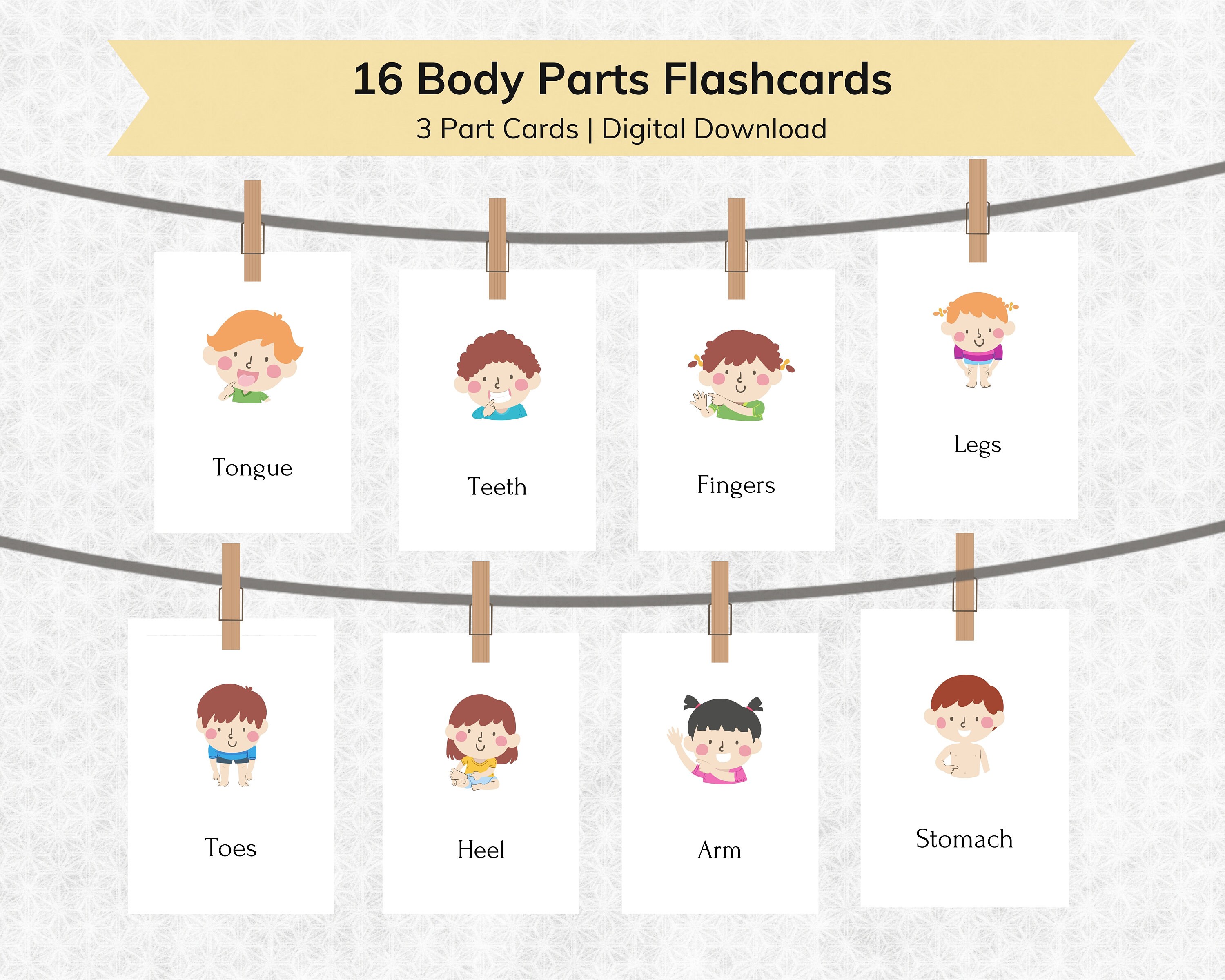 16 Body Parts Flashcards for Kids Learning Body Parts 3 Part ...