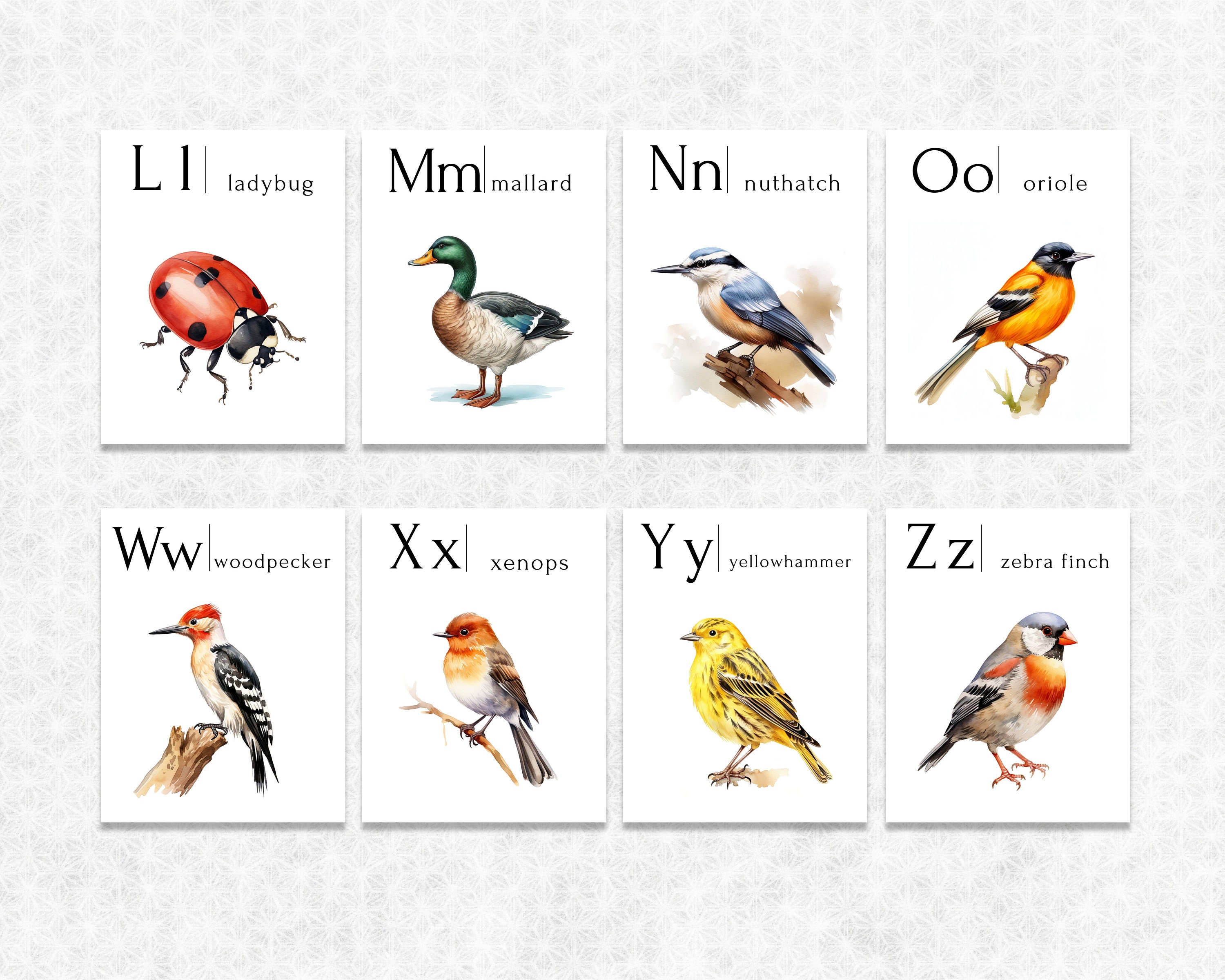 Spring Animals Alphabet Flashcards for Kids | Spring Animals Name, ABC ...