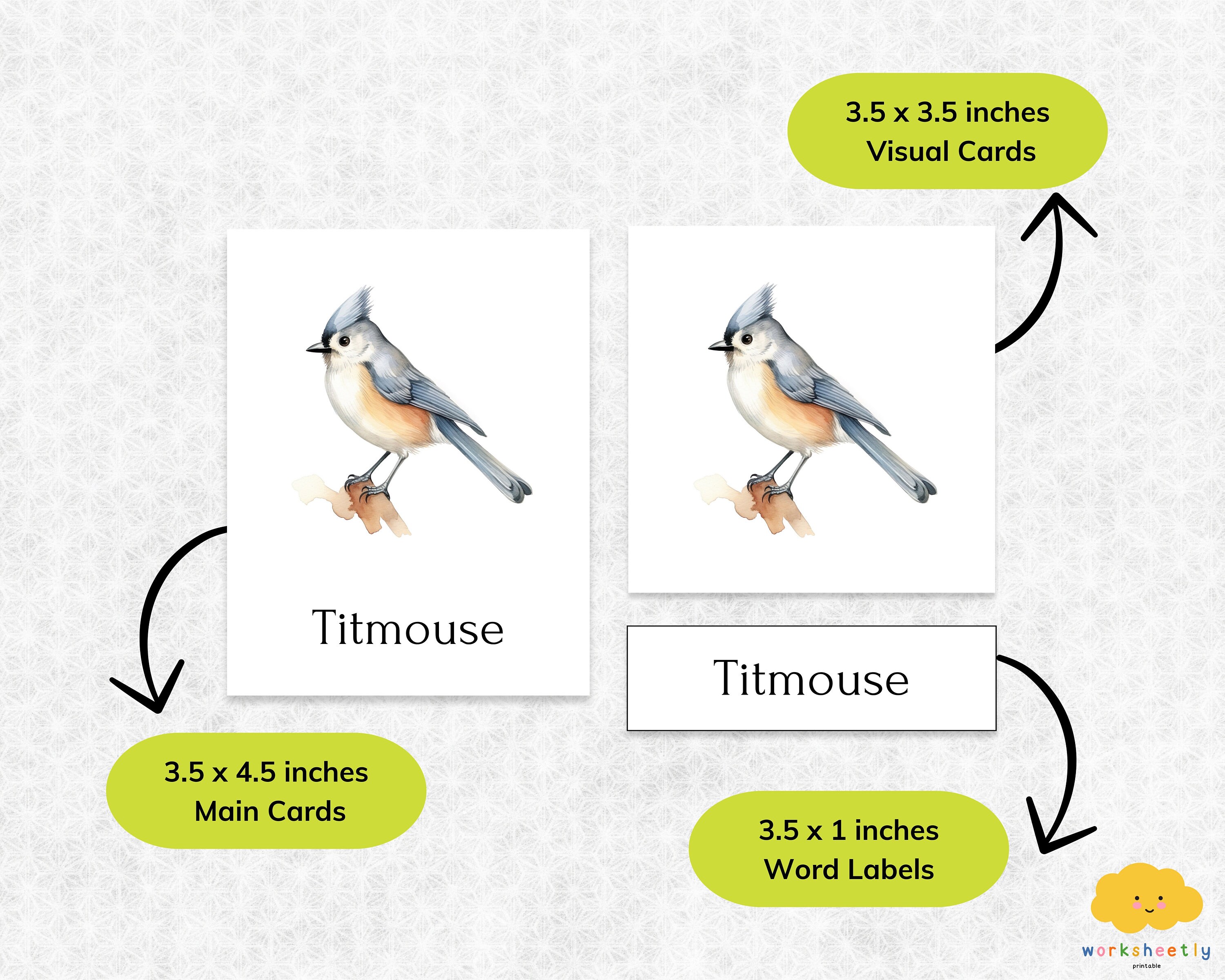 Editable Backyard Bird Flashcards for Kids, Printable 3 Part ...