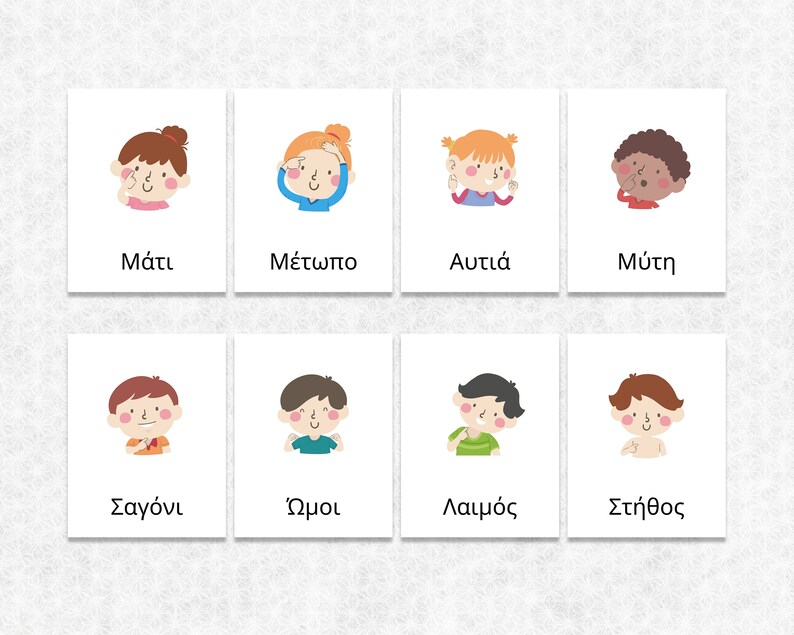 16 Greek Body Parts Flashcards for Kids Educational 3 Part Nomenclature ...