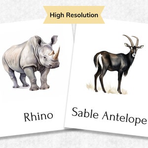 Editable Safari Animals Flashcards for Kids, Montessori Animal Name ...