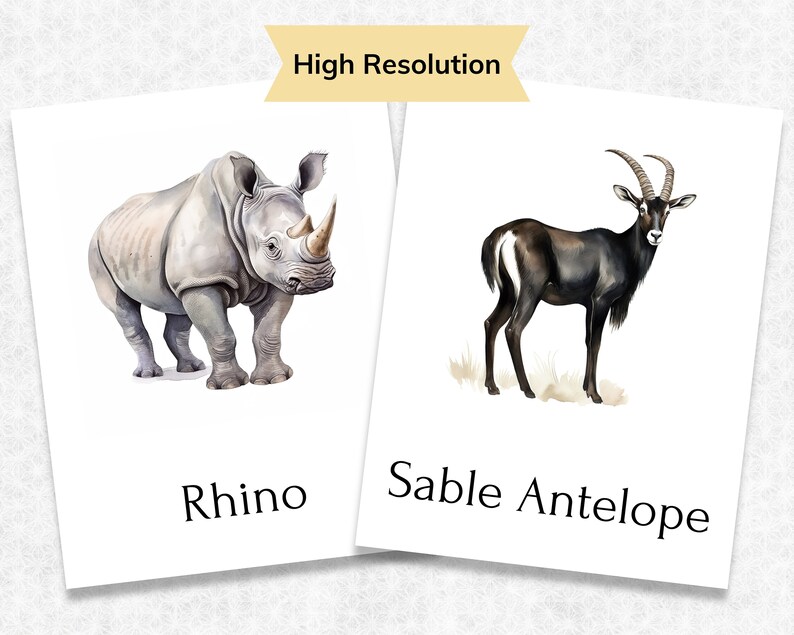 Editable Safari Animals Flashcards for Kids, Montessori Animal Name ...