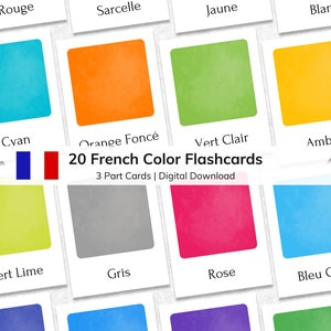 French Color Flashcards for Kids, Printable 3 Part Nomenclature Toddler ...