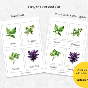 Editable Herb Montessori 3-part Flashcards for Kids, Printable ...
