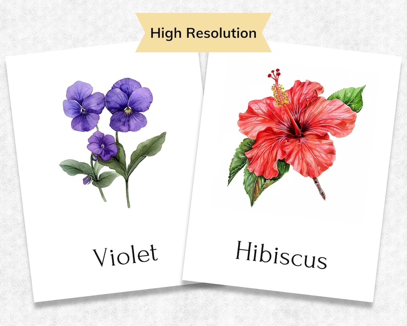 Flowers Flashcards: Montessori Plant Identification Learning (digital ...