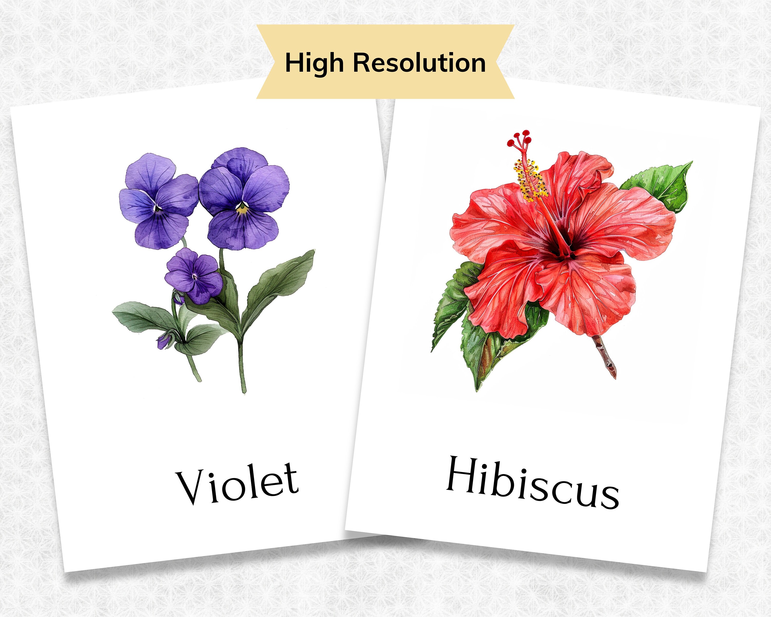 Editable Flowers Flashcards for Kids, Montessori Flower Name Learning ...