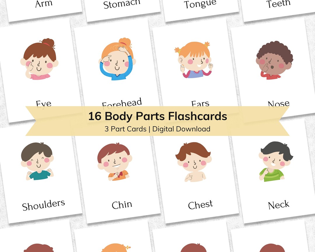 16 Body Parts Flashcards for Kids | Learning Body Parts 3 Part ...