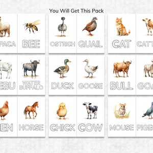 Farm Animal Name Tracing Flashcards for Kids, Printable Montessori ...