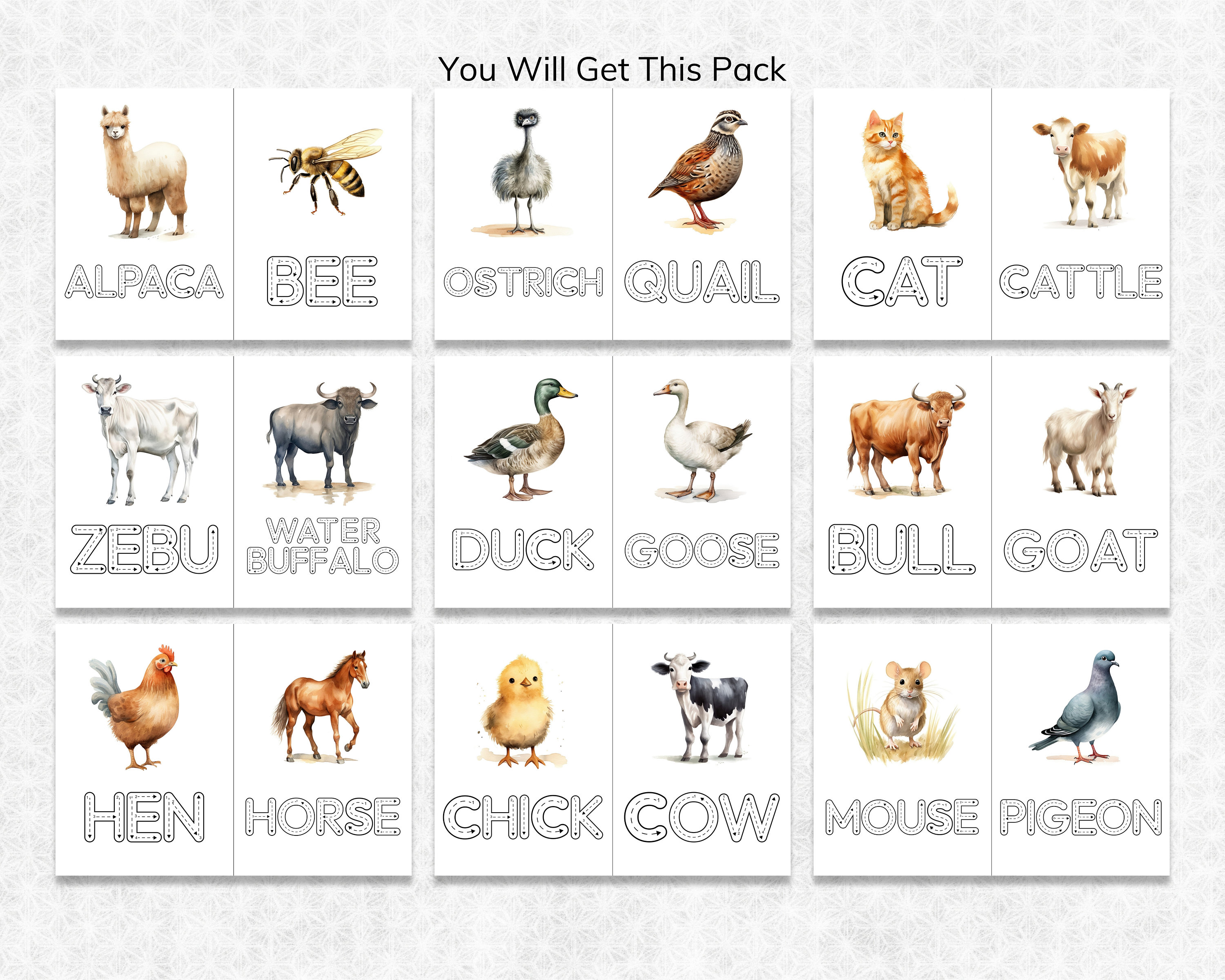 Farm Animal Name Tracing Flashcards for Kids, Printable Montessori ...