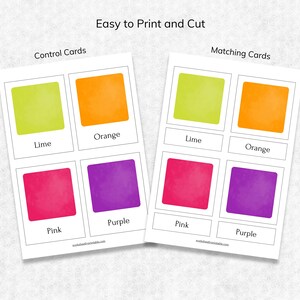 Editable Color Flashcards for Kids, Printable 3 Part Nomenclature ...