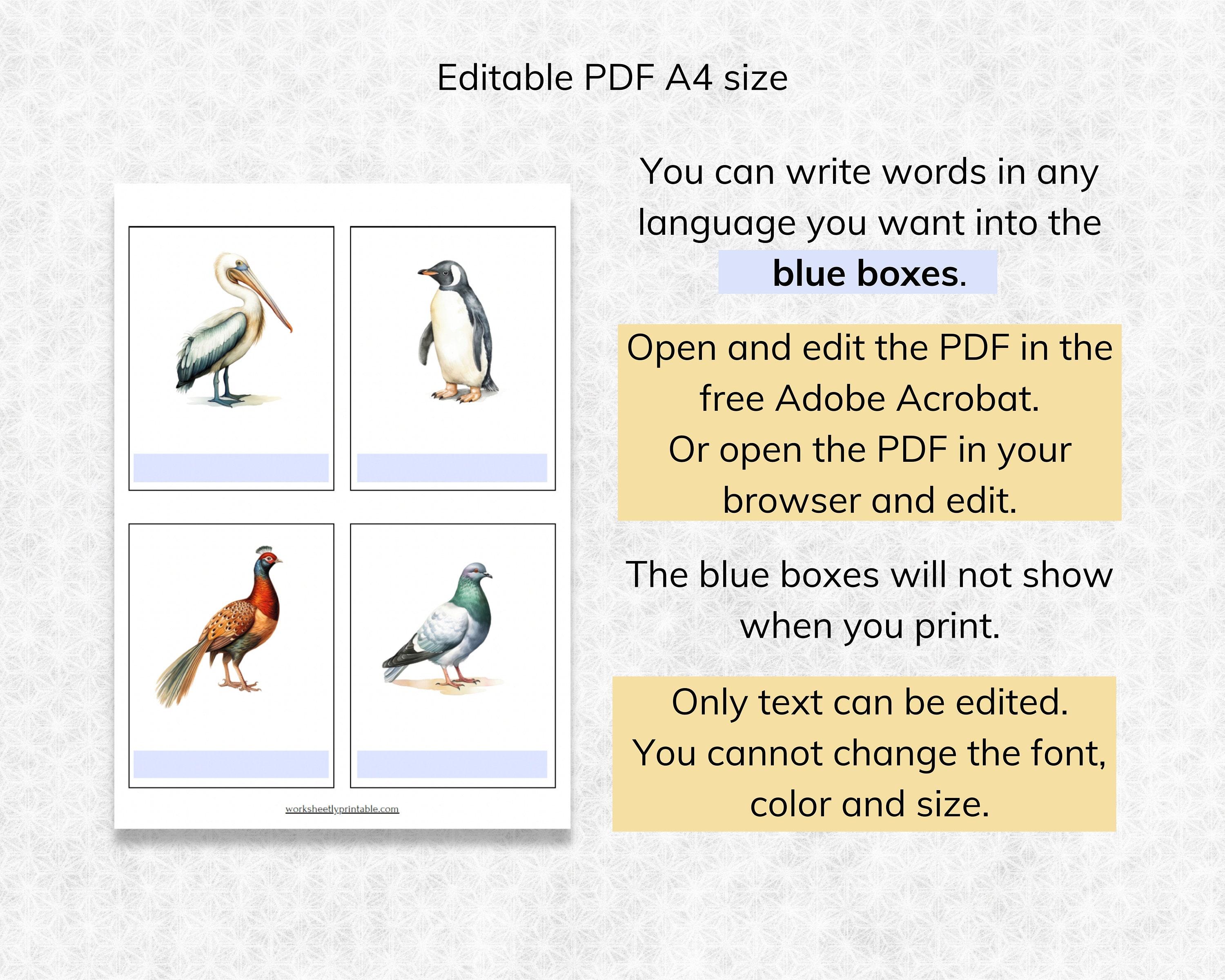 Editable Birds Flashcards Printable 3 Part Nomenclature Toddler Flash ...