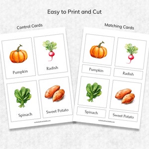 Editable Vegetables Flashcards for Kids | Educational 3 Part ...