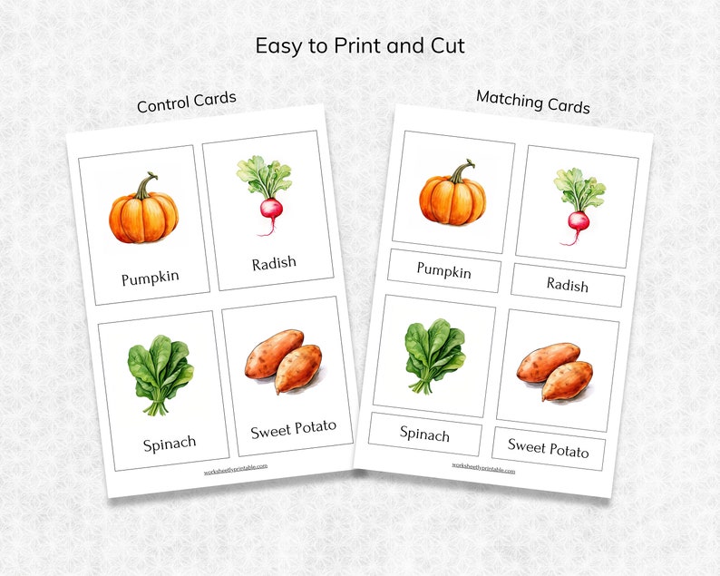 Editable Vegetables Flashcards for Kids Educational 3 Part Nomenclature ...